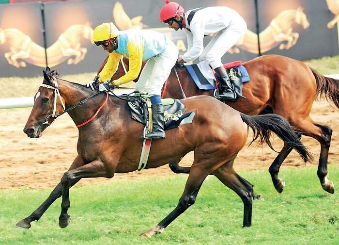 Resume racing at Bangalore Turf Club in 10 days: Karnataka High Court