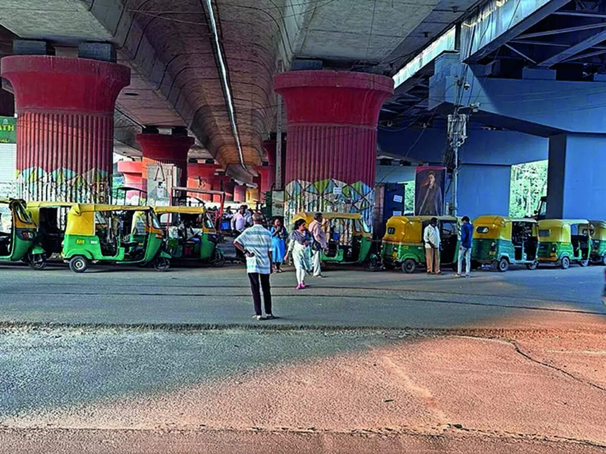 Dangerous Blocked Walkway at Veterinary College Bus Stop Poses Risks ...