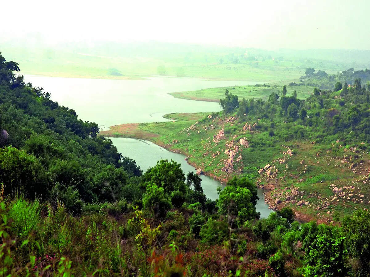 Arkavathy River pollution hits new low near TG Halli