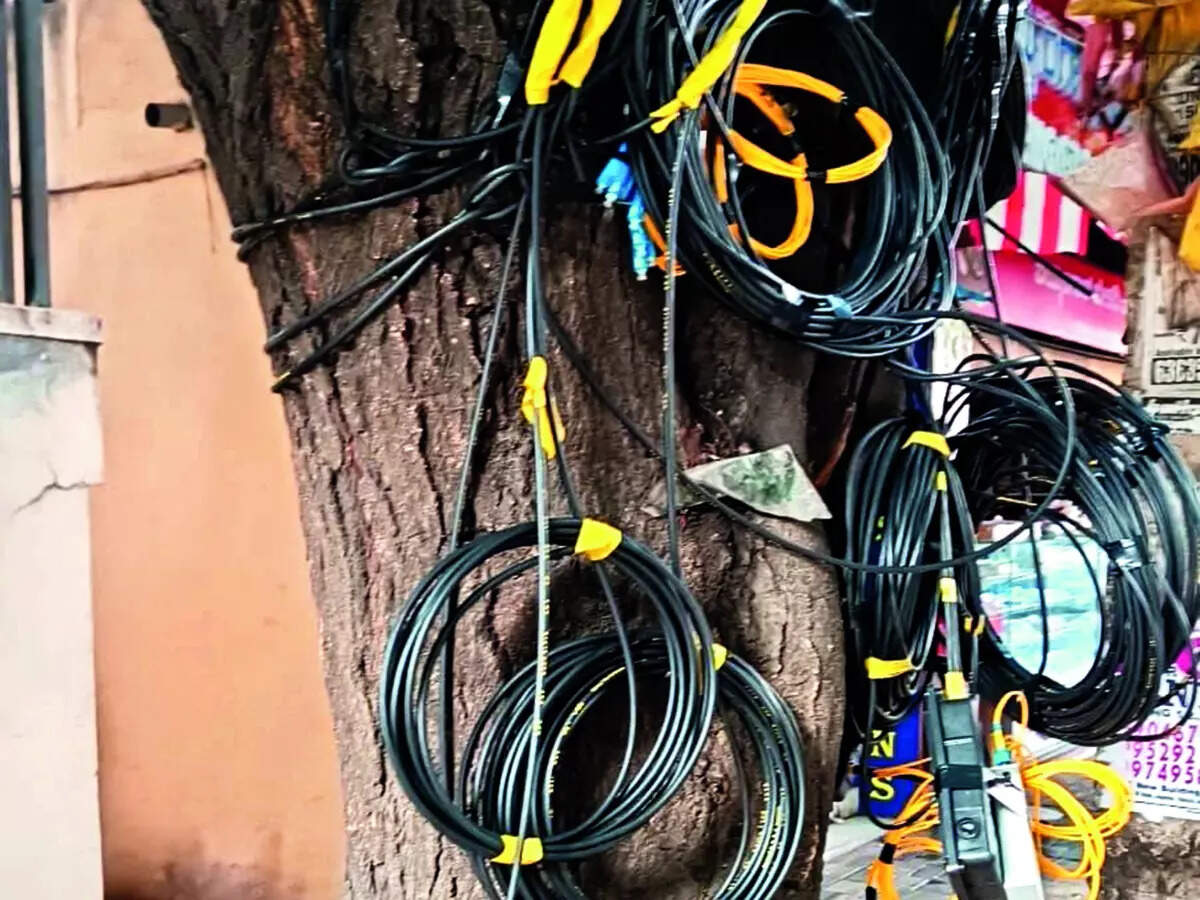 Bengaluru Trees Cable Chaos
