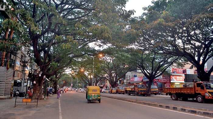 kariyappa road: Frequent ‘flyer’ at it again: Govt now looks at ...
