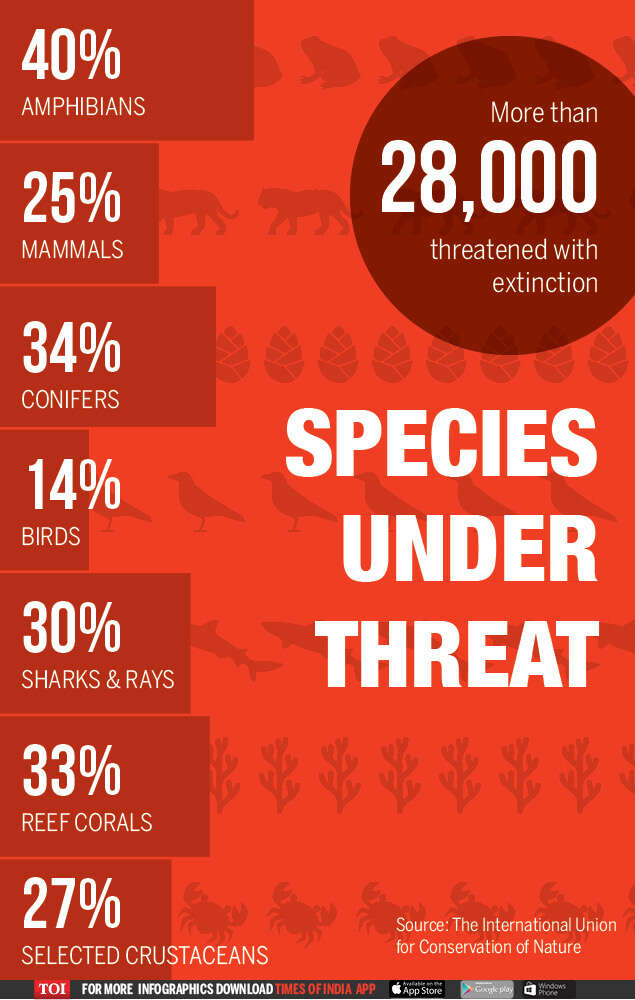 More than 28,000 species face risk of extinction - Times of India