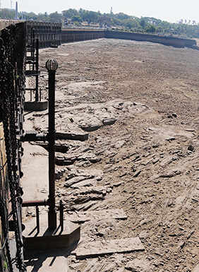 cauvery di: Why this love for Cauvery Di?