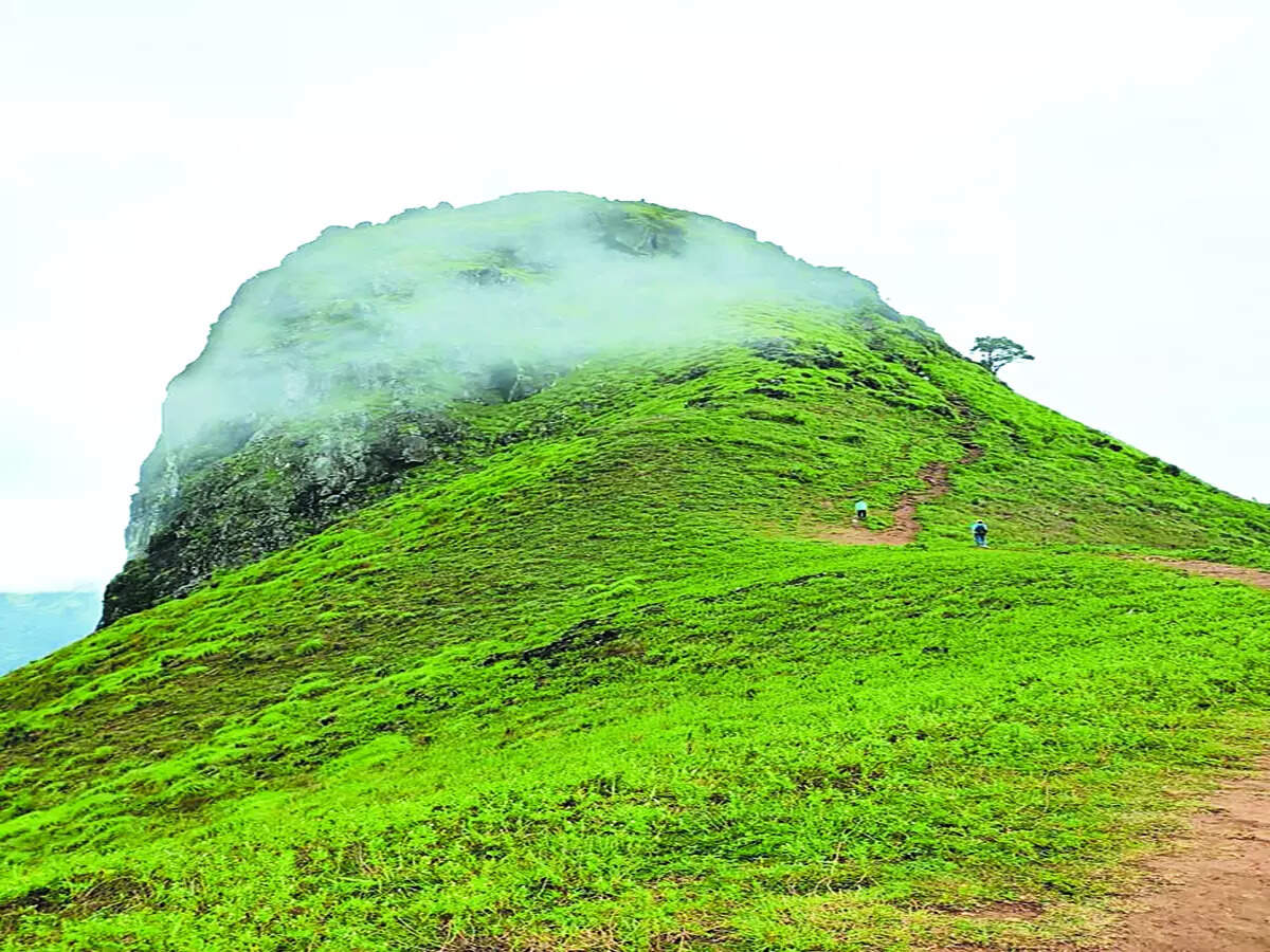 ettina bhuja: Trekking to Ettina Bhuja? Route got tougher now