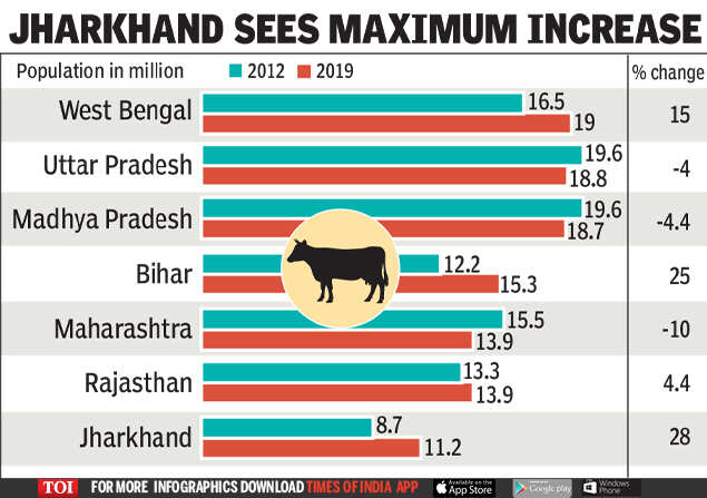 Livestock population up by 4.6%; cow count rises by 18% | India News ...
