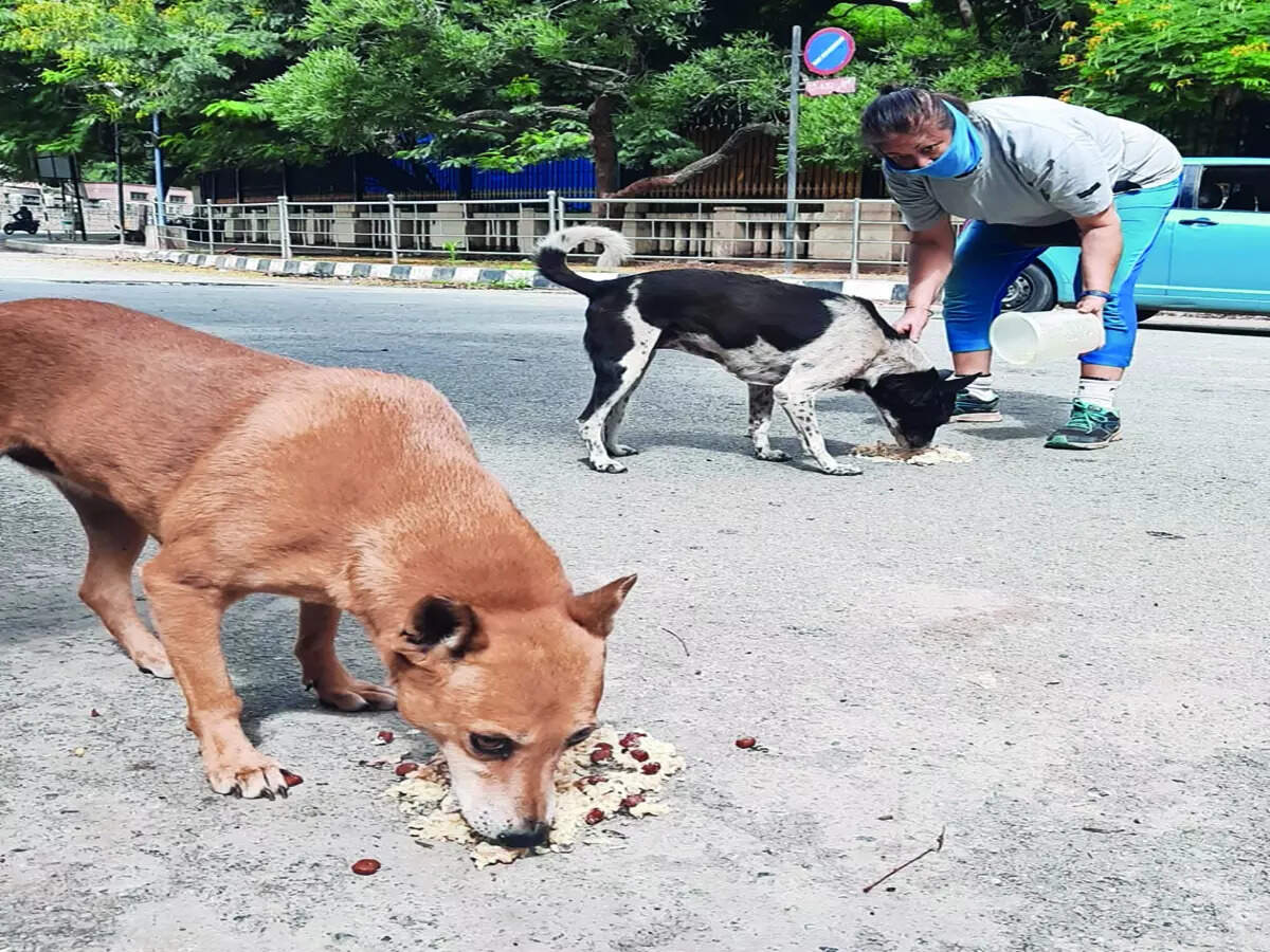 Straying clear of the confusion