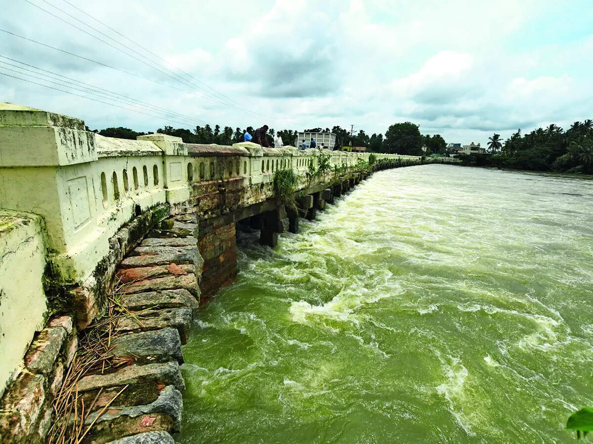 Government Takes Action to Combat Cauvery River Pollution: Expert ...