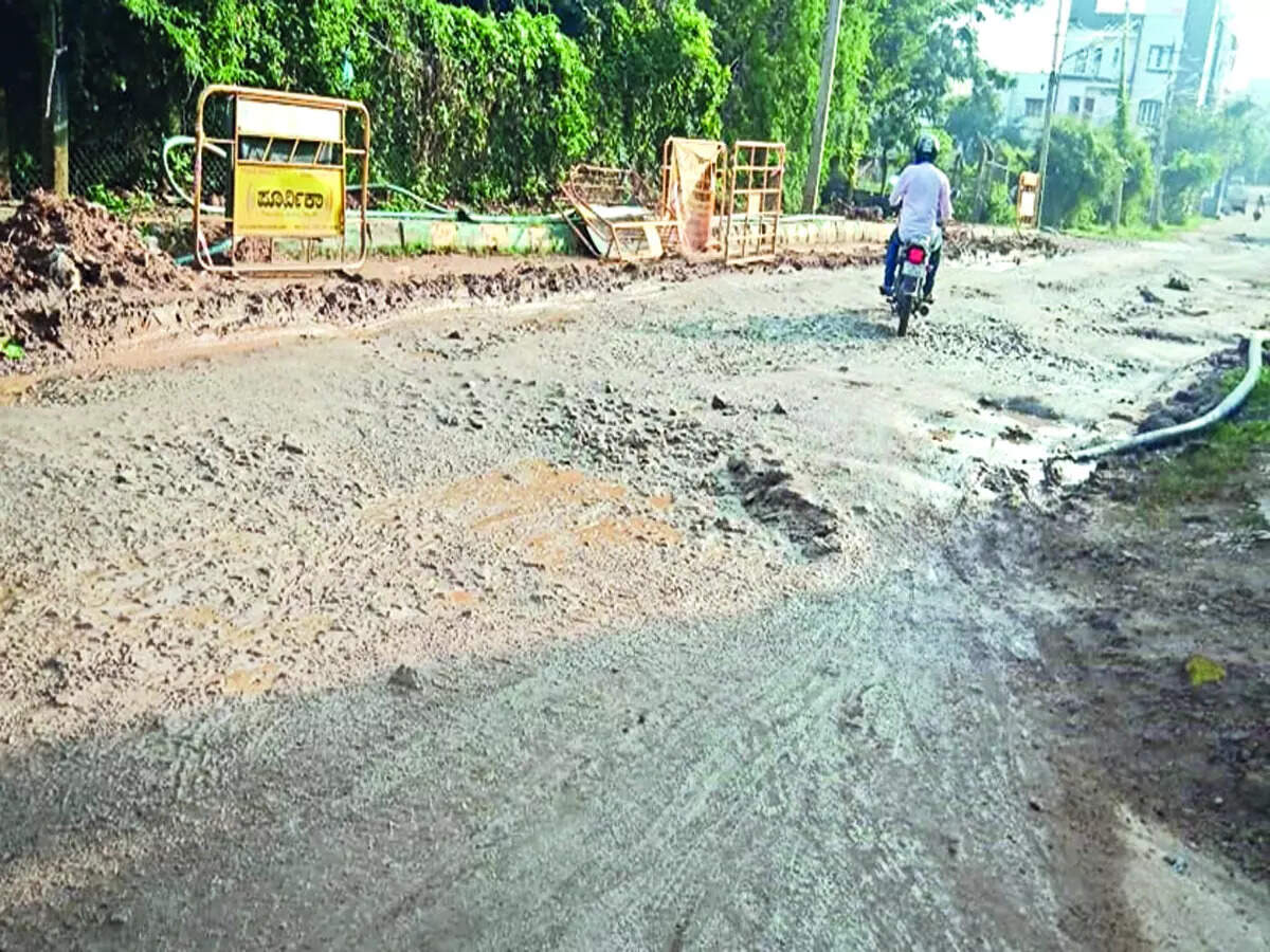 Is this a road or one big pothole?