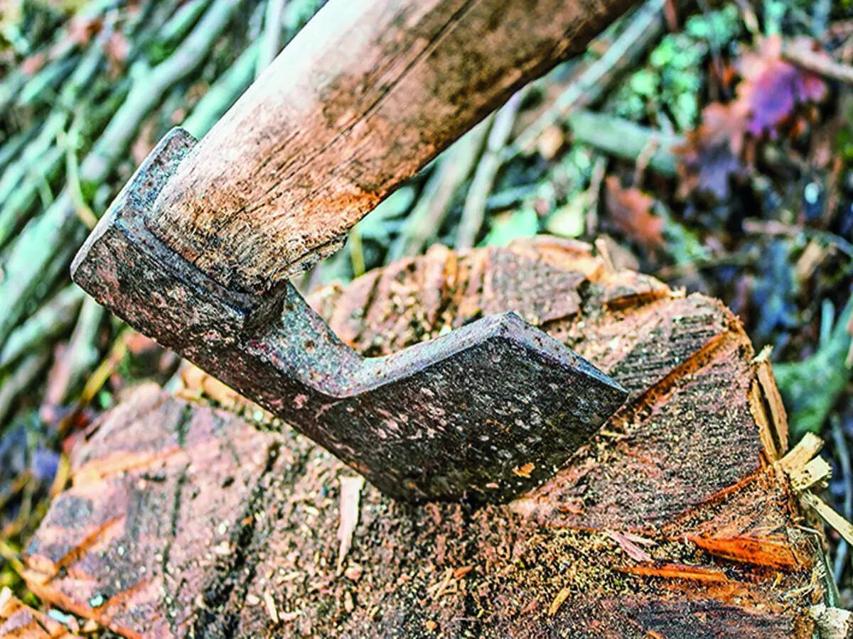 401 trees face the axe