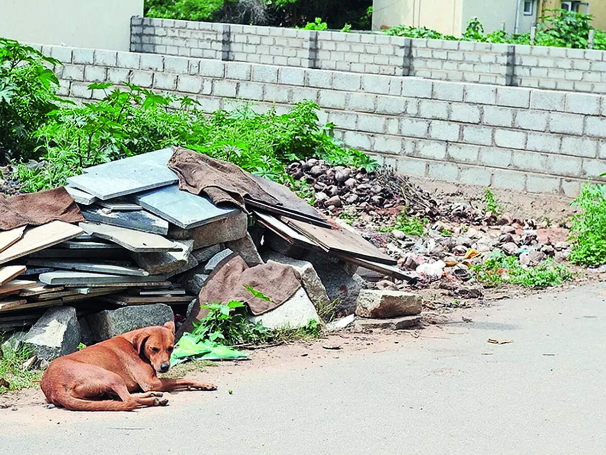 Stray attacks create ripples