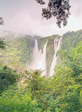 The Malnad check-Met