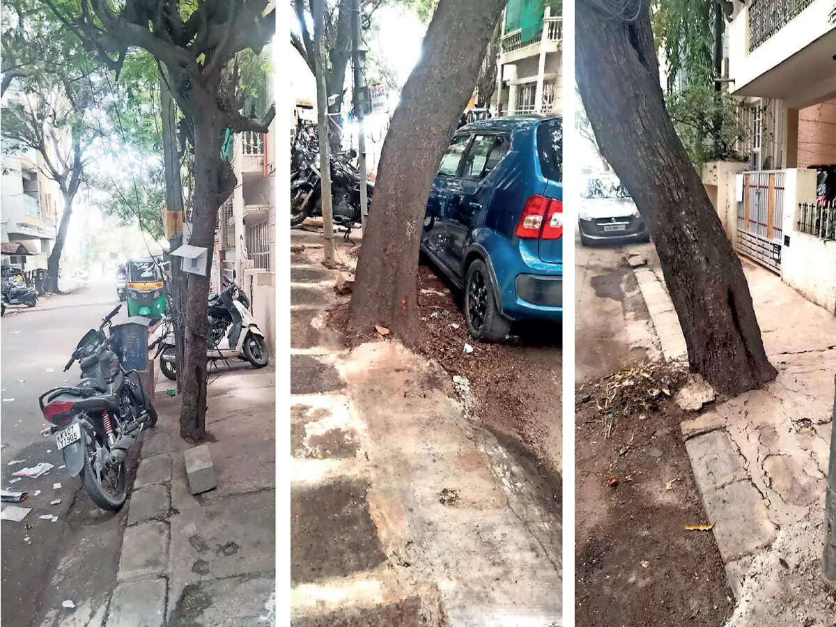 No space for trees in this concrete jungle