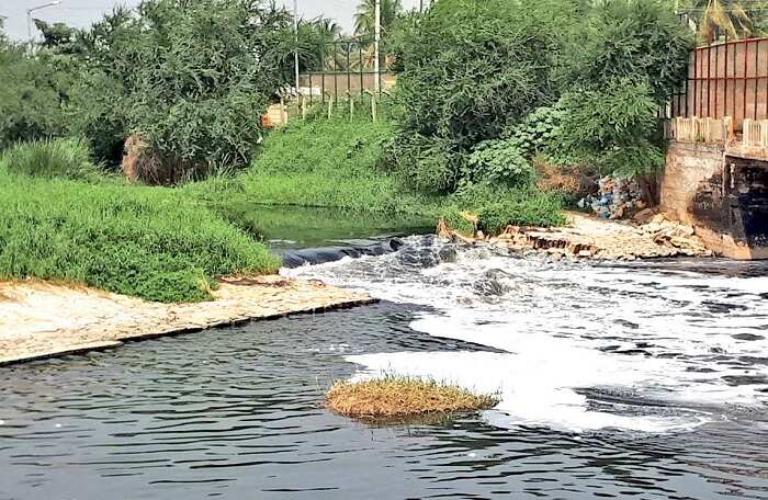 varthur lake: Bengaluru's Varthur lake is drying up