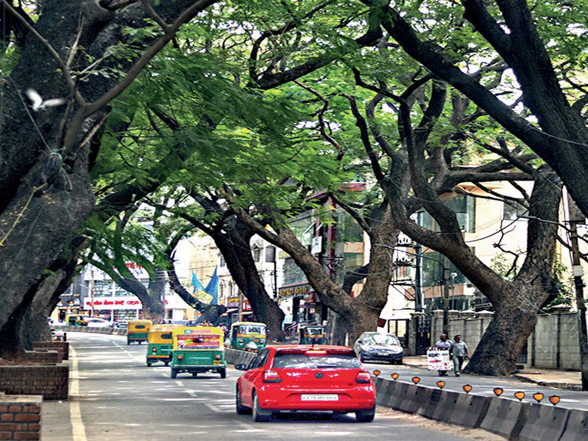 The Towns Mirror Special: Around Town: Stopping by Mosque Road