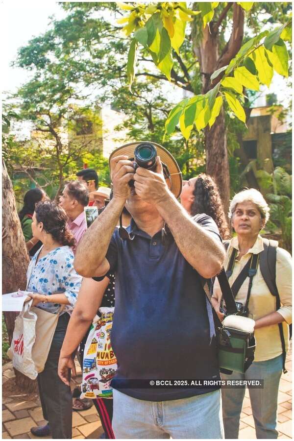 Mumbai Tree Appreciation Walks: These tree chroniclers help Mumbaikars ...