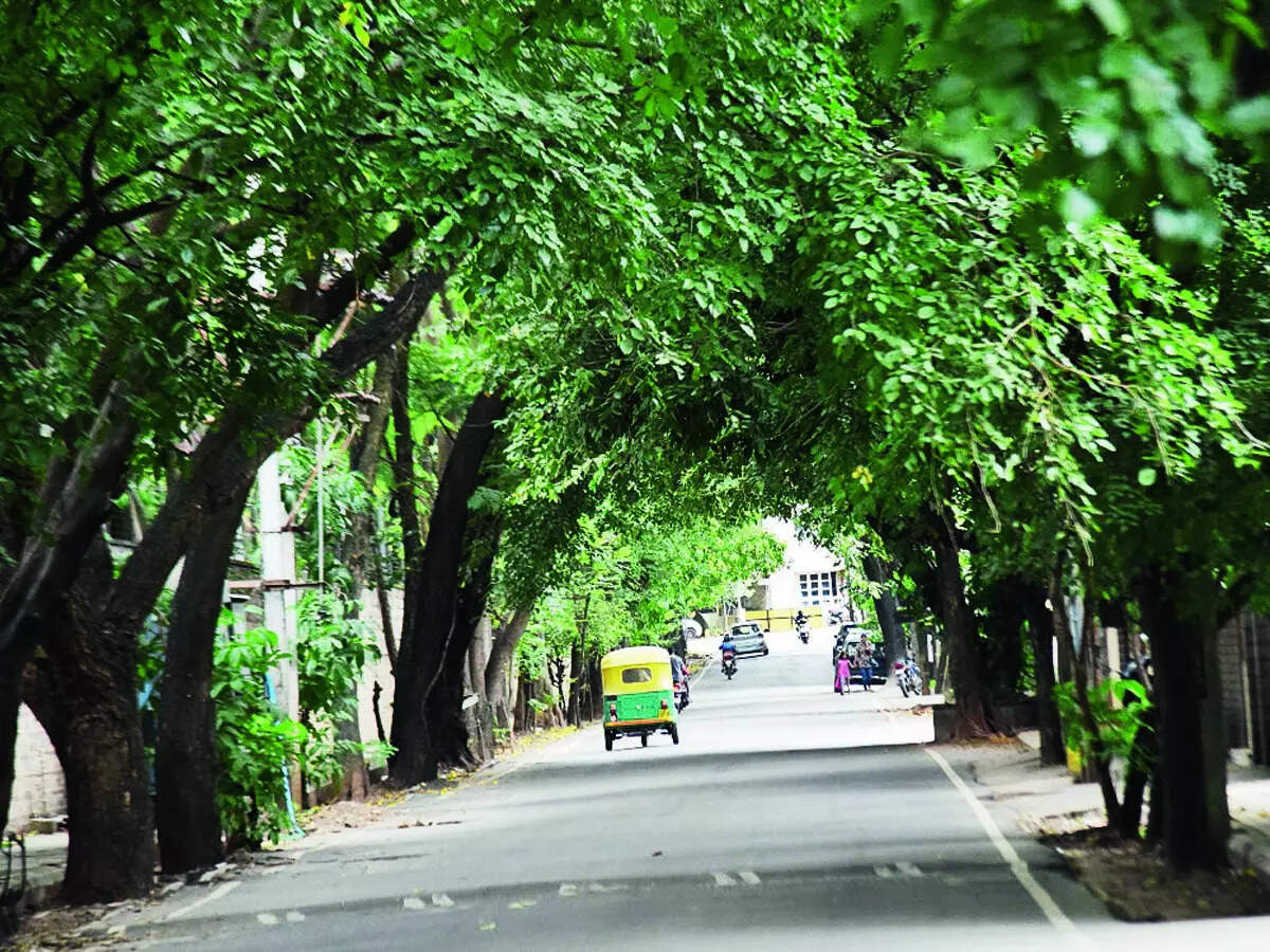 BBMP to put tree census back on GKVK’s table