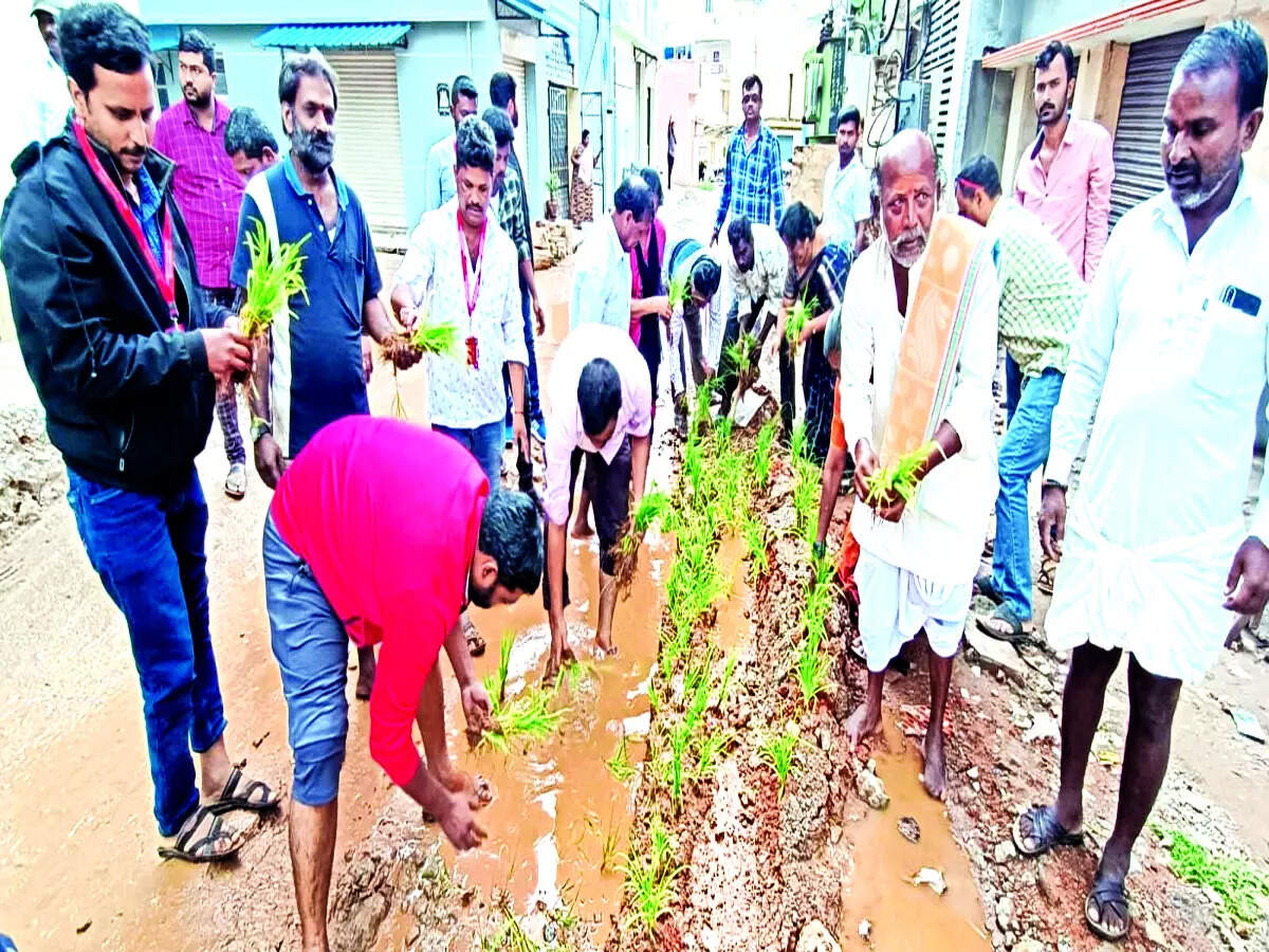 Unique ‘paddy protest’ on rod-filled stretch