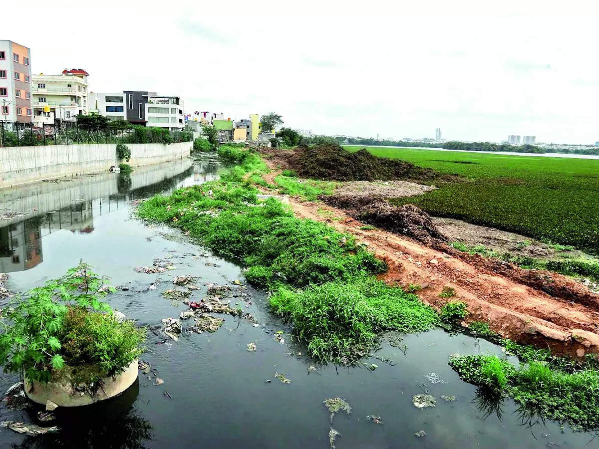 Madiwala Lake Development Tender