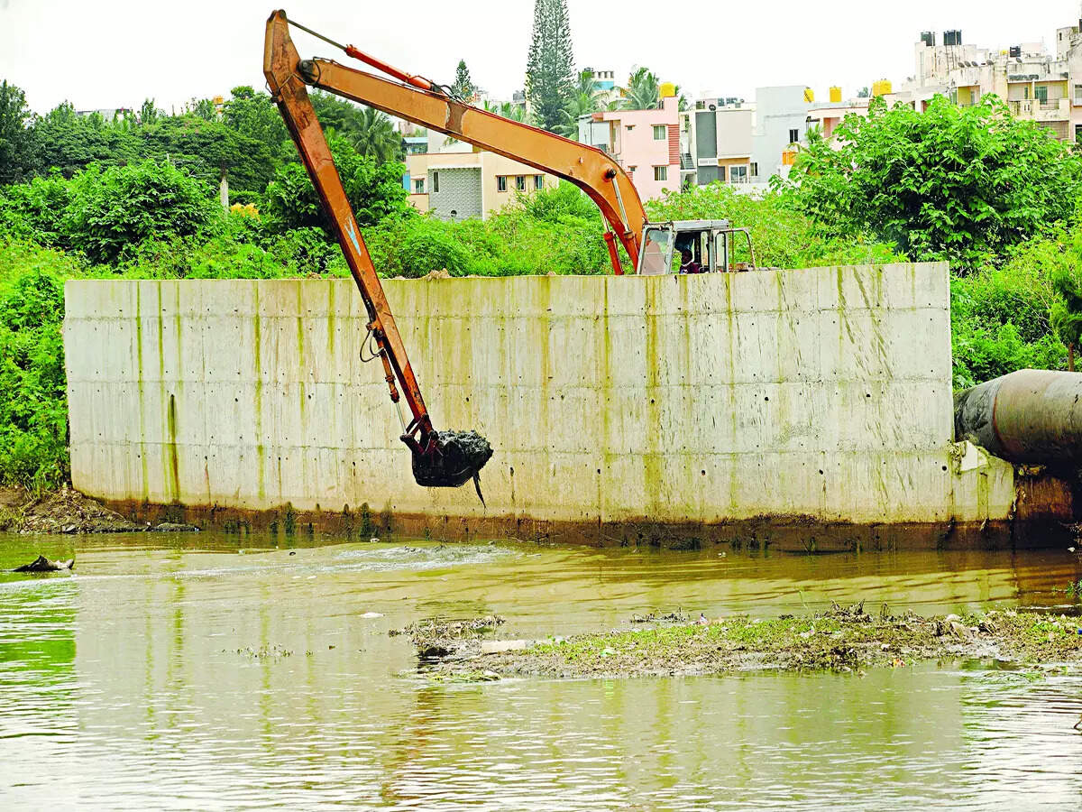 Stormwater drain chasers