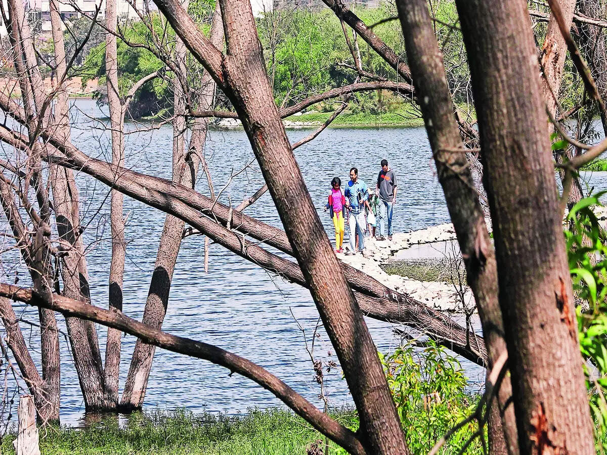 Blue + green = Climate action