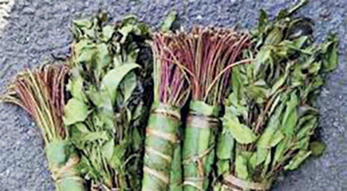 Now, there’s a new drug on the block