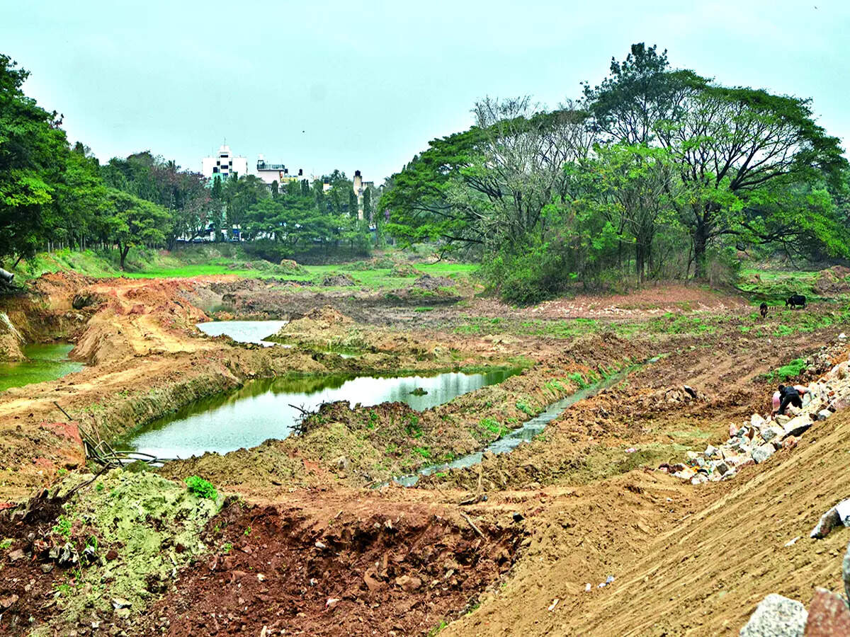 kengeri: Kengeri Lake gets new lease of life after delay