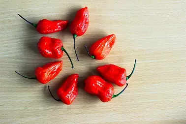 Naga cuisine: Healthy & delish - Times of India