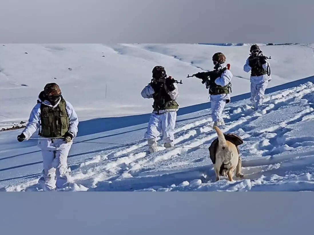 Indian Army Unit demonstrates expertise in Avalanche rescue operations ...