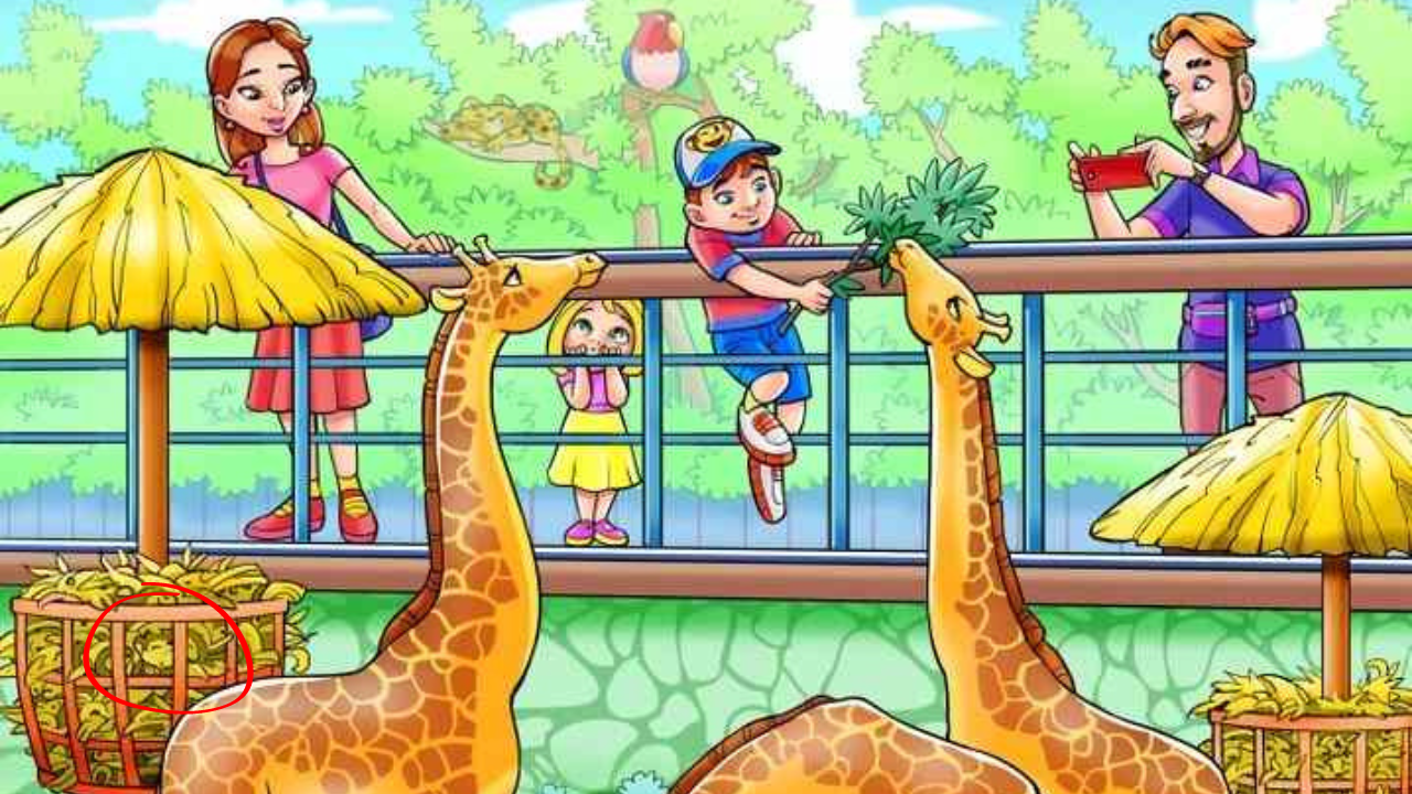 Optical Illusion: Can you spot the monkey hidden in this zoo picture ...