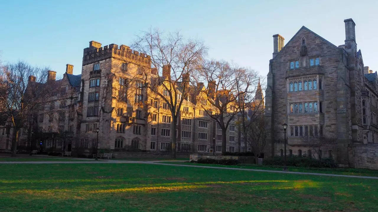 Did you know Yale University was built with stolen money? | - The Times ...
