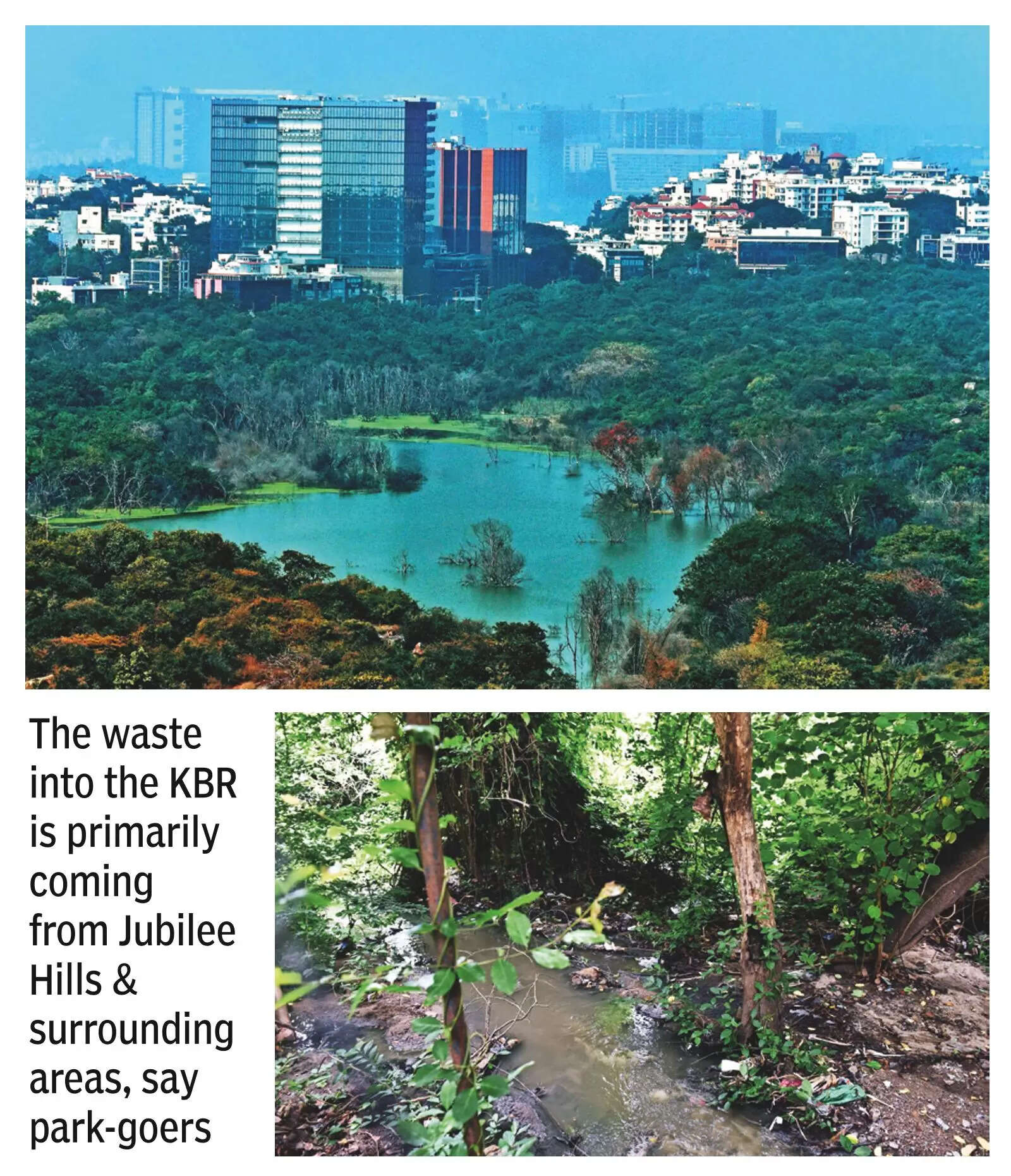 Sewage Contamination Issues at KBR National Park in Hyderabad ...