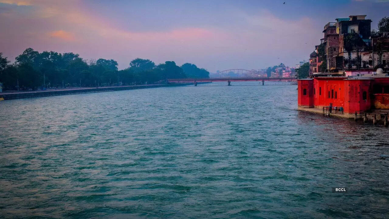 Happy Ganga Dussehra 2024: Best Messages, Quotes, Wishes and Images to ...