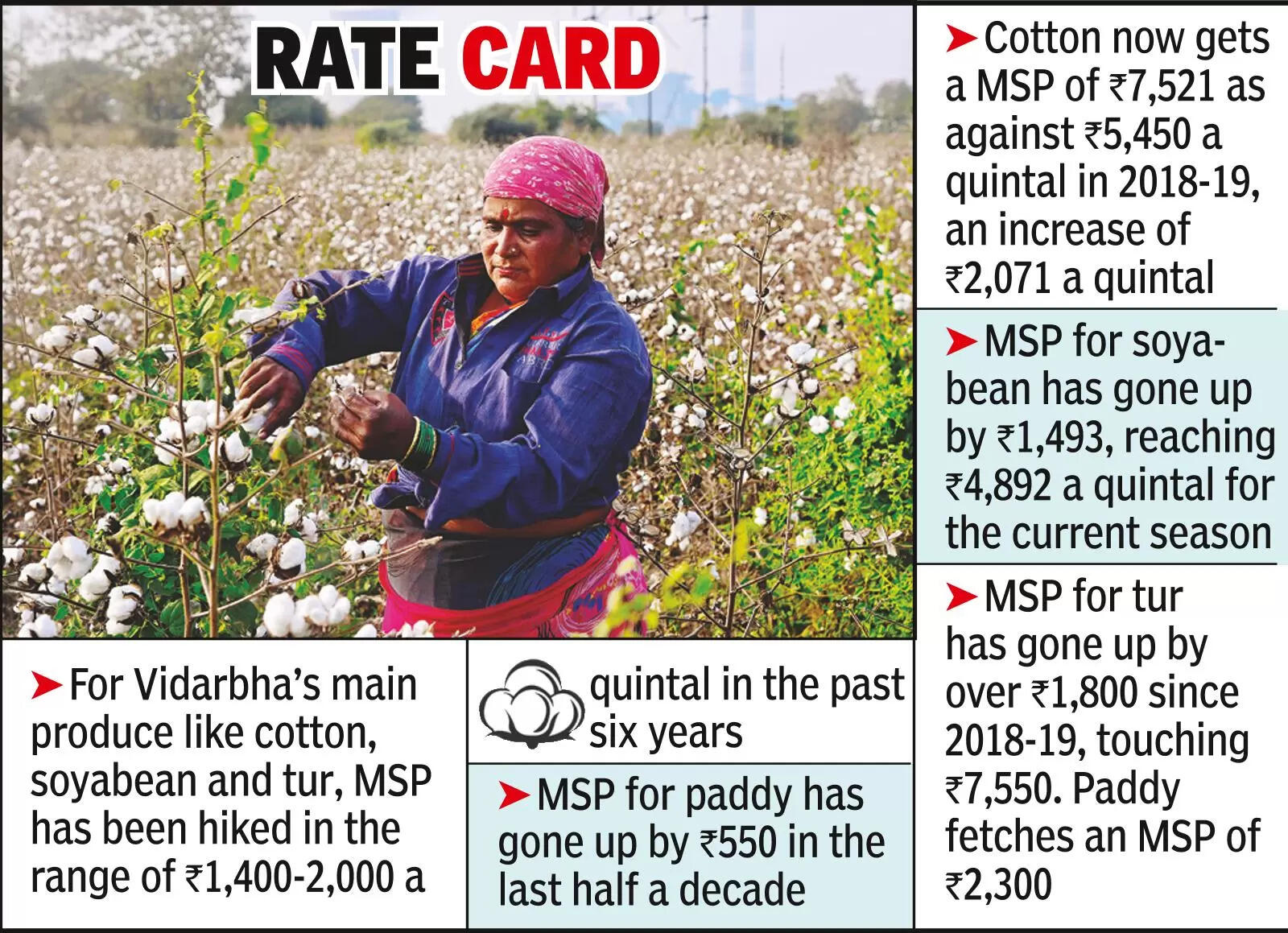 MSP for Vidarbha Crops Increased by ₹1,400 to ₹2,000 in 6 Years; Paddy ...