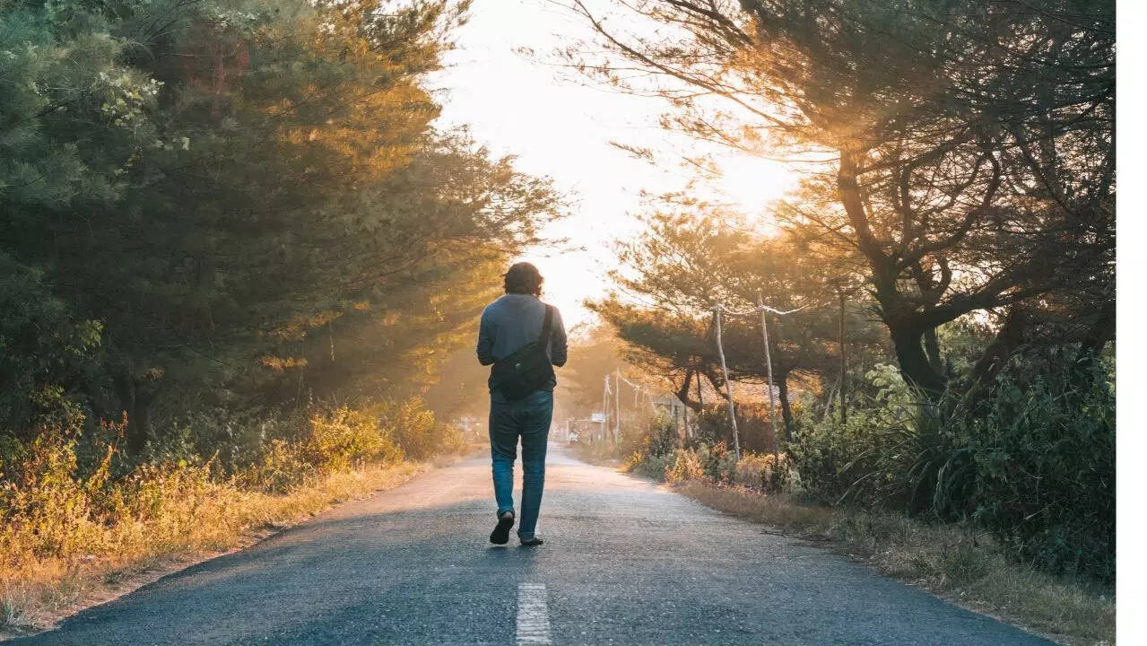Walking Habit Benefits: Incredible benefits of a daily 30-minute walk ...