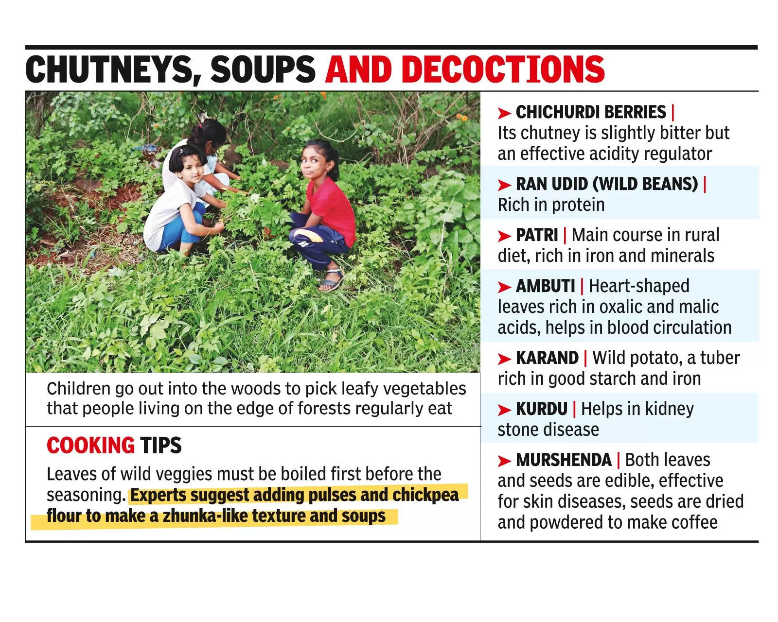 Growing Popularity of Wild Vegetables in Western Ghats Forests ...