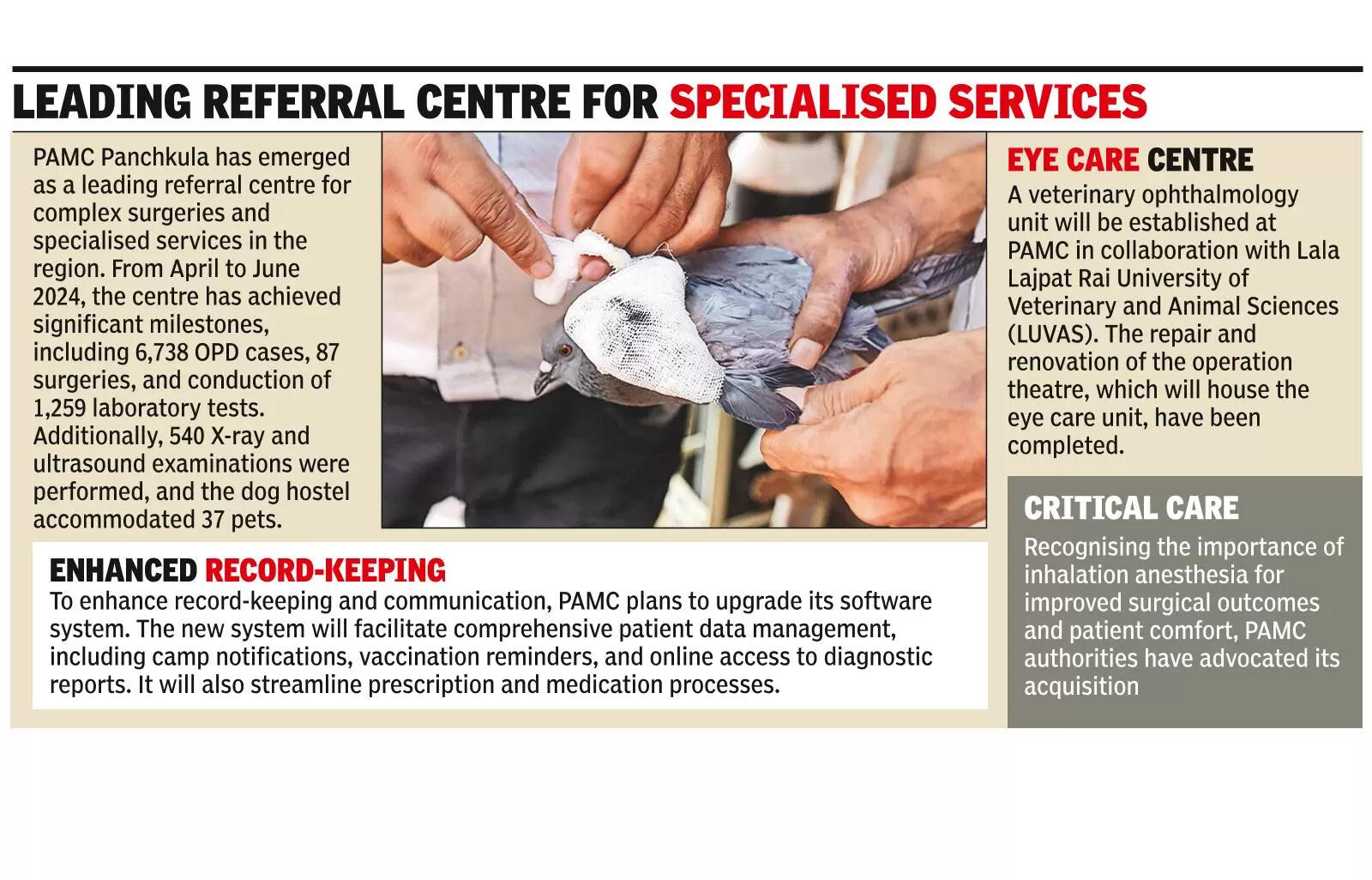 Haryana to Establish Dialysis Unit for Pets at PAMC | Chandigarh News ...