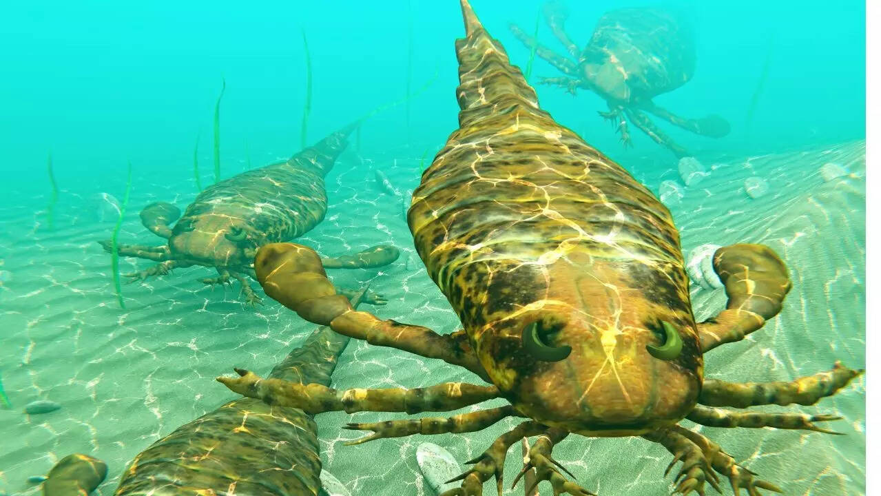 Gigantic 8-foot sea scorpions, significantly larger than humans found ...