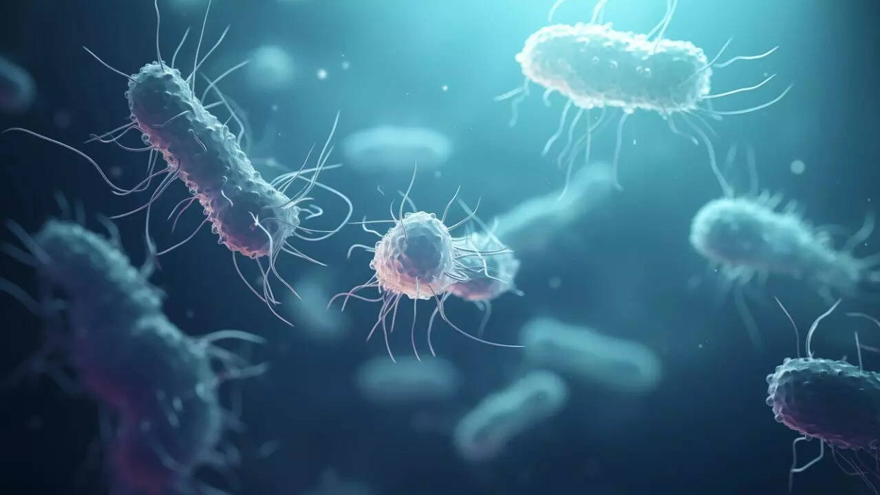 All about Staph toxins that caused mass food poisoning at seafood plant ...