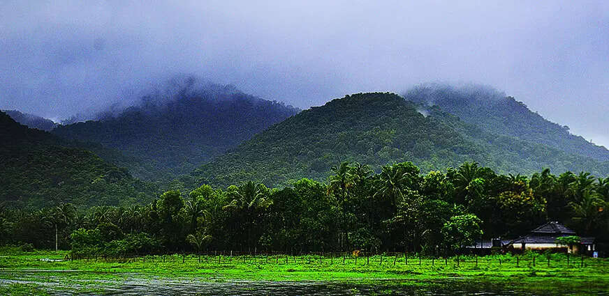 ESA list: Centre to inspect Goa’s ghats | Goa News - Times of India