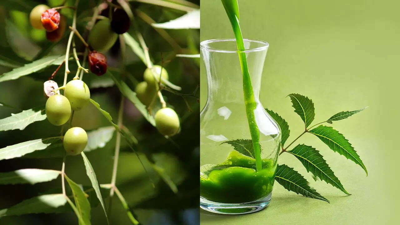 This is what happens when start your day with neem leaves - Times of India