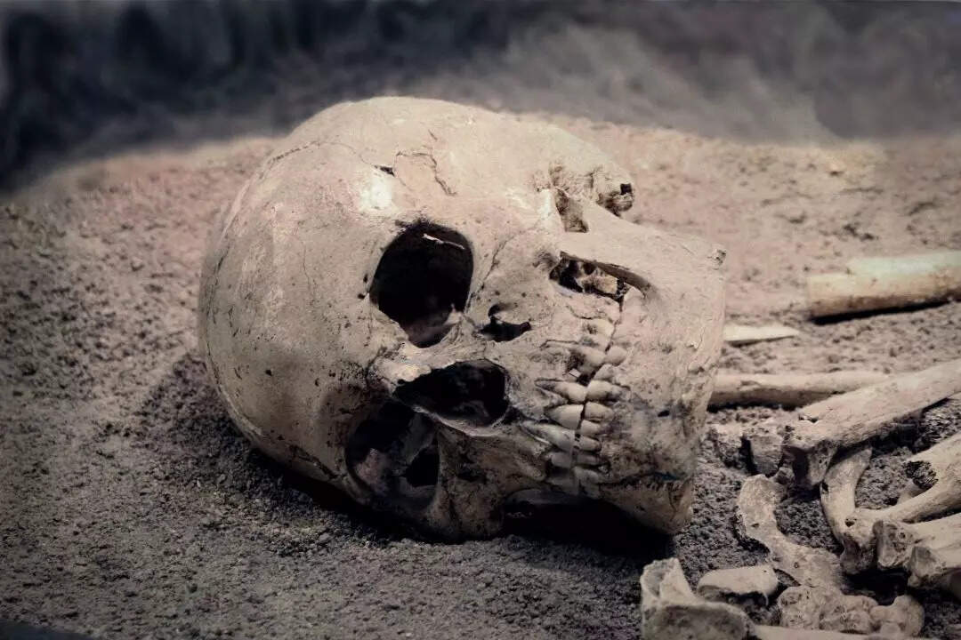 Kolkata’s dark past when it exported thousands of human skeletons and ...