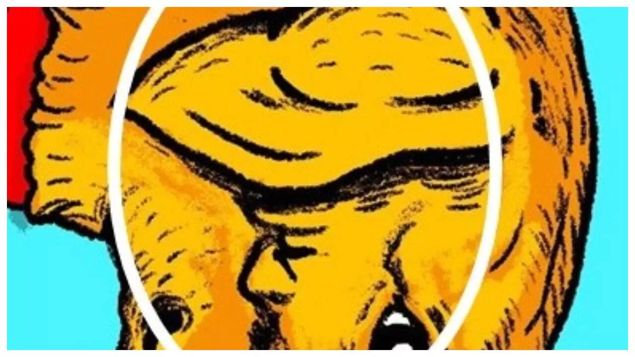 Brain teaser: Only a genius can spot a man’s face hidden in this dog in ...