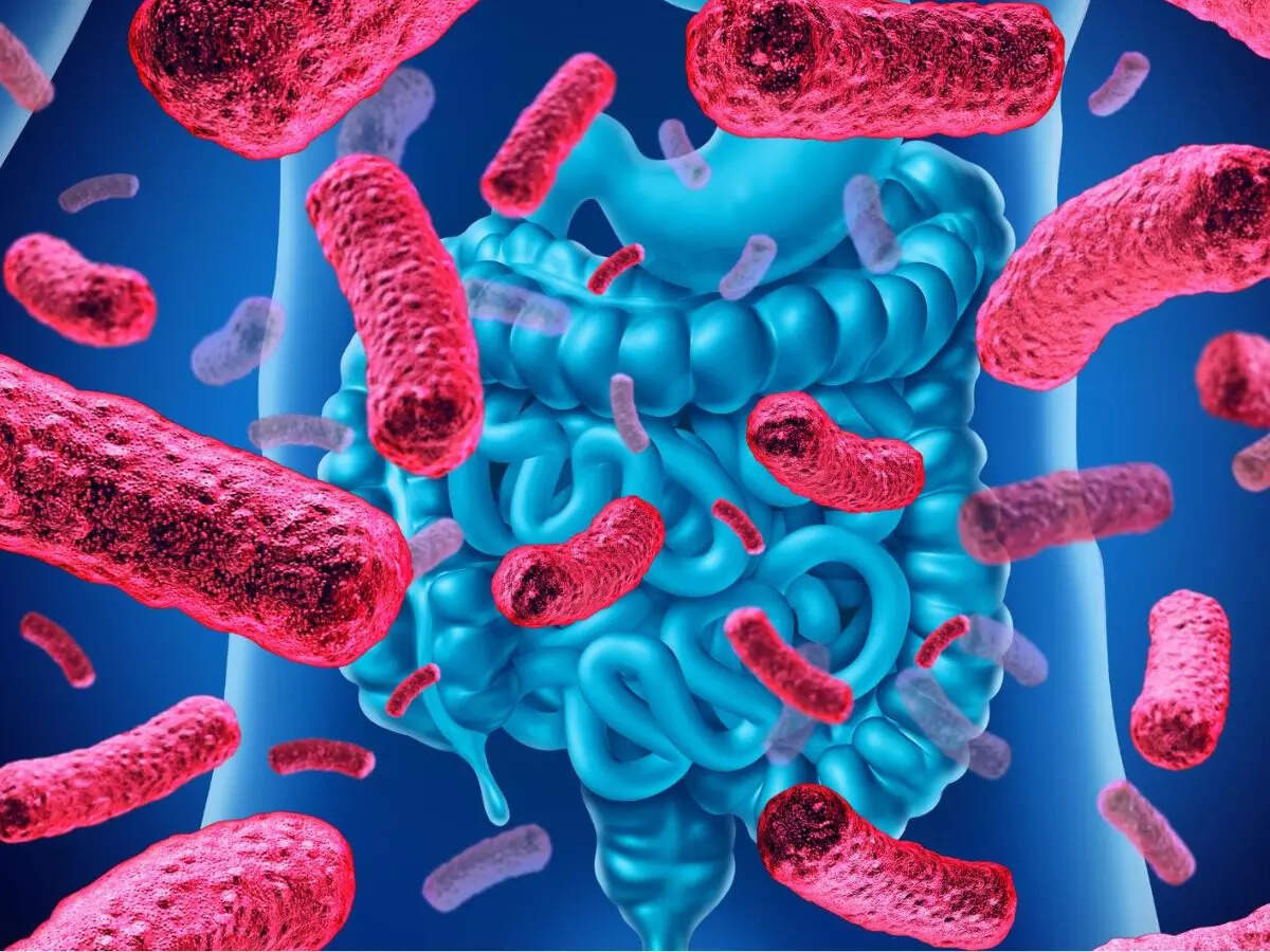 LCA: The Gut’s Secret to Living a Longer, Healthier Life | - Times of India