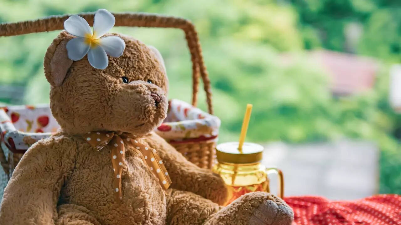 Happy Teddy Day 2026: Best Messages, Quotes, Wishes, and Images to ...