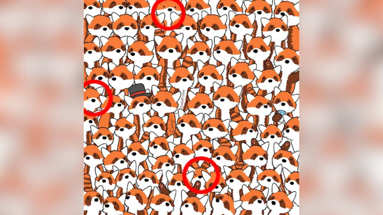 Optical illusion: Only a person with great instincts can spot 3 hidden ...