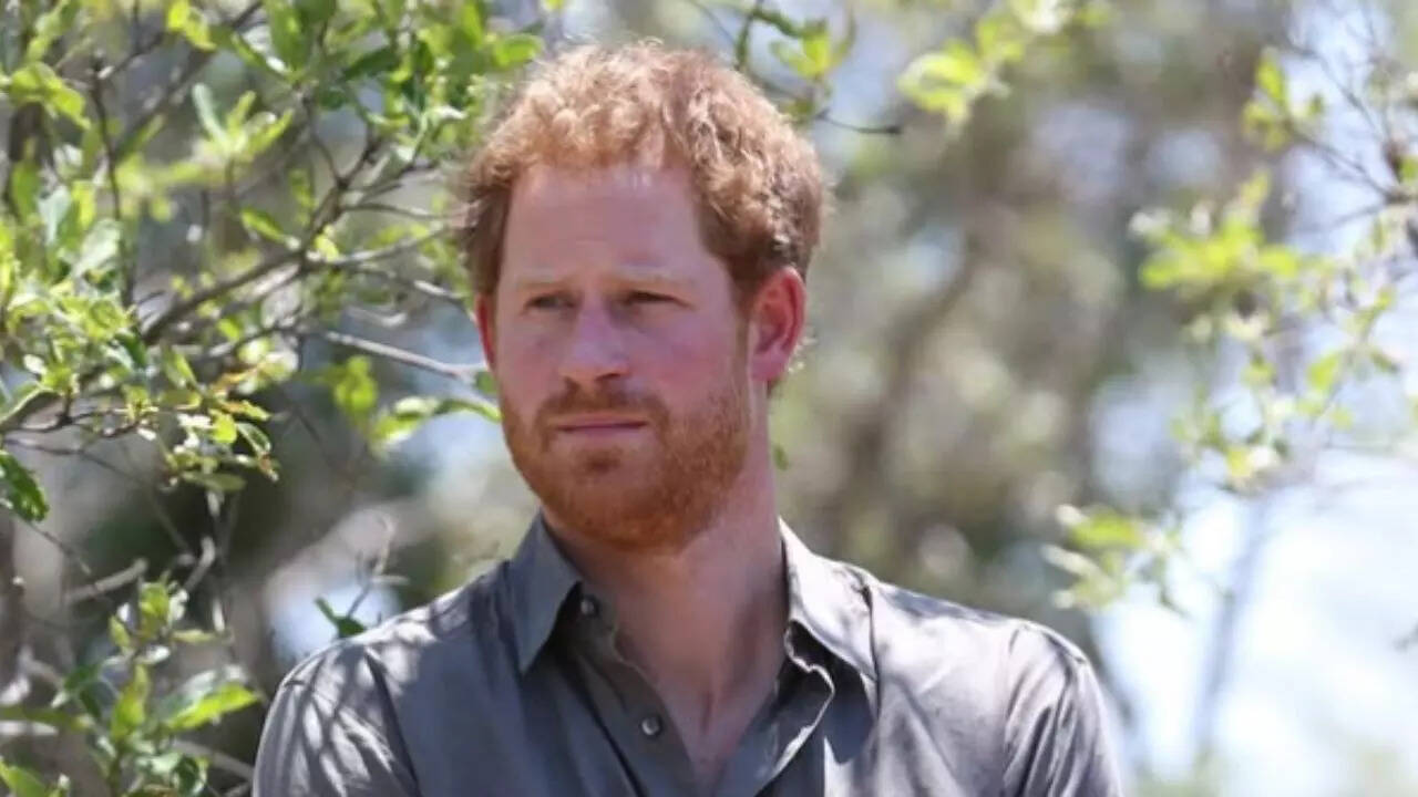 Prince Harry resigns ‘in shock’ from charity he founded in Princess ...