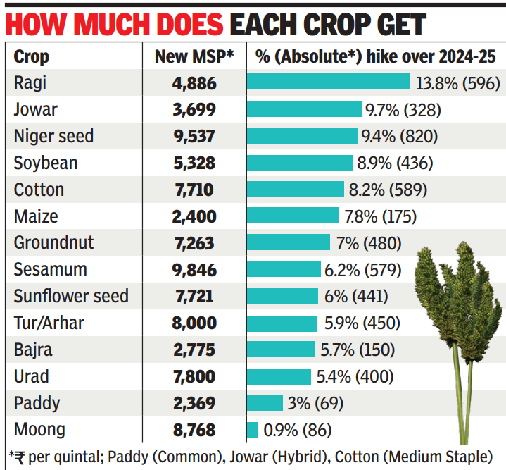 At 354MT, India's foodgrain output hits an all-time high | India News ...
