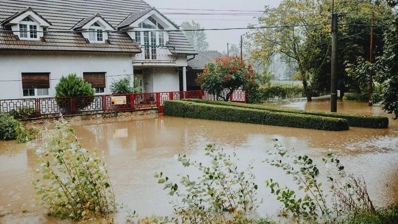 Monsoon rains are coming: Here’s how to protect your garden in time and fix it after the damage ...