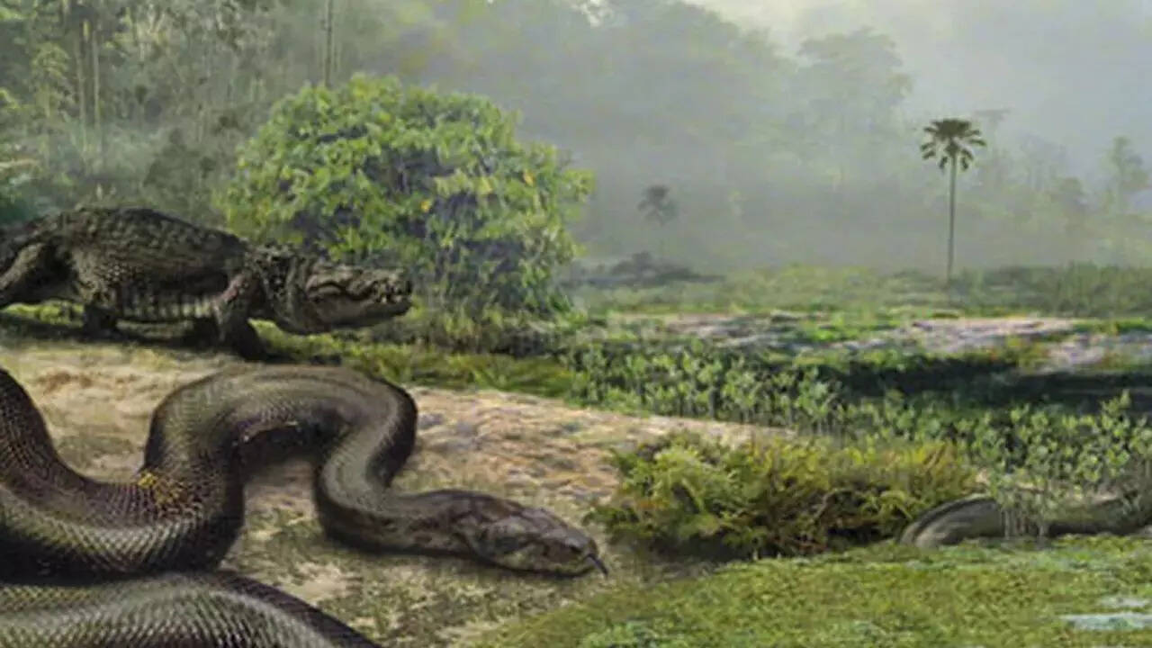 What’s bigger than an anaconda? This 58-million-year-old fossil of ...