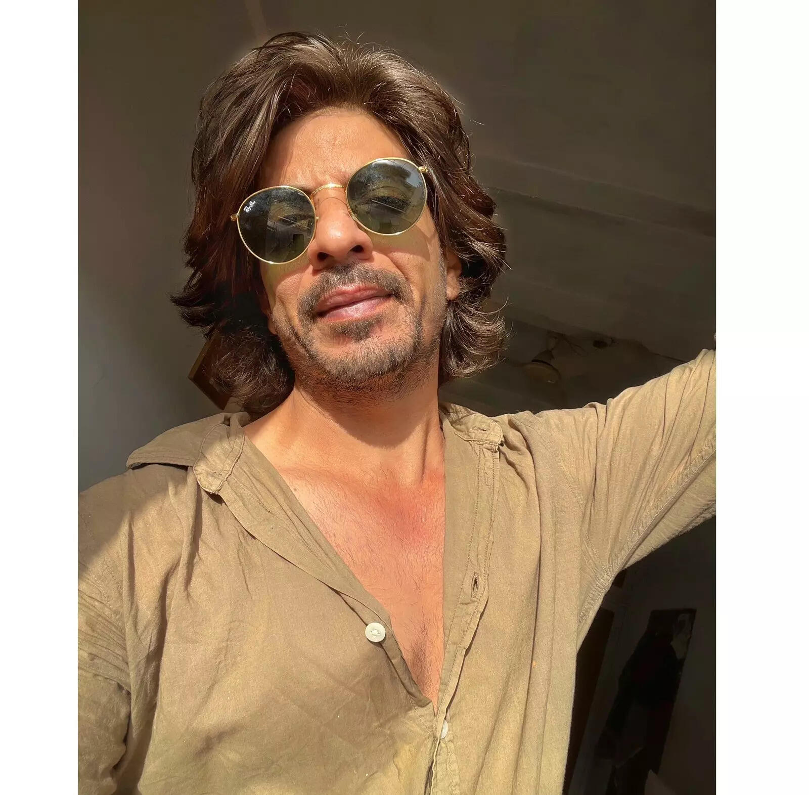 Bollywood Lookalikes Who Went Viral: Alina Rai, Ibrahim Qadri, Celesti ...